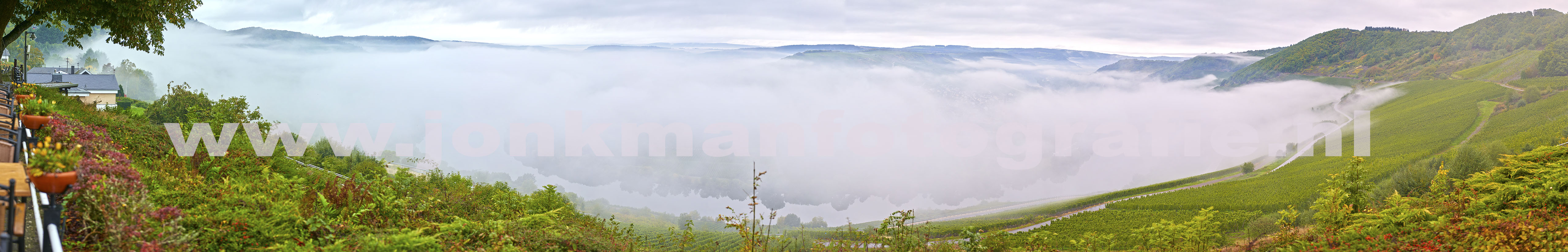 Bekijk alle foto's in de map Trittenheim in ochtendmist